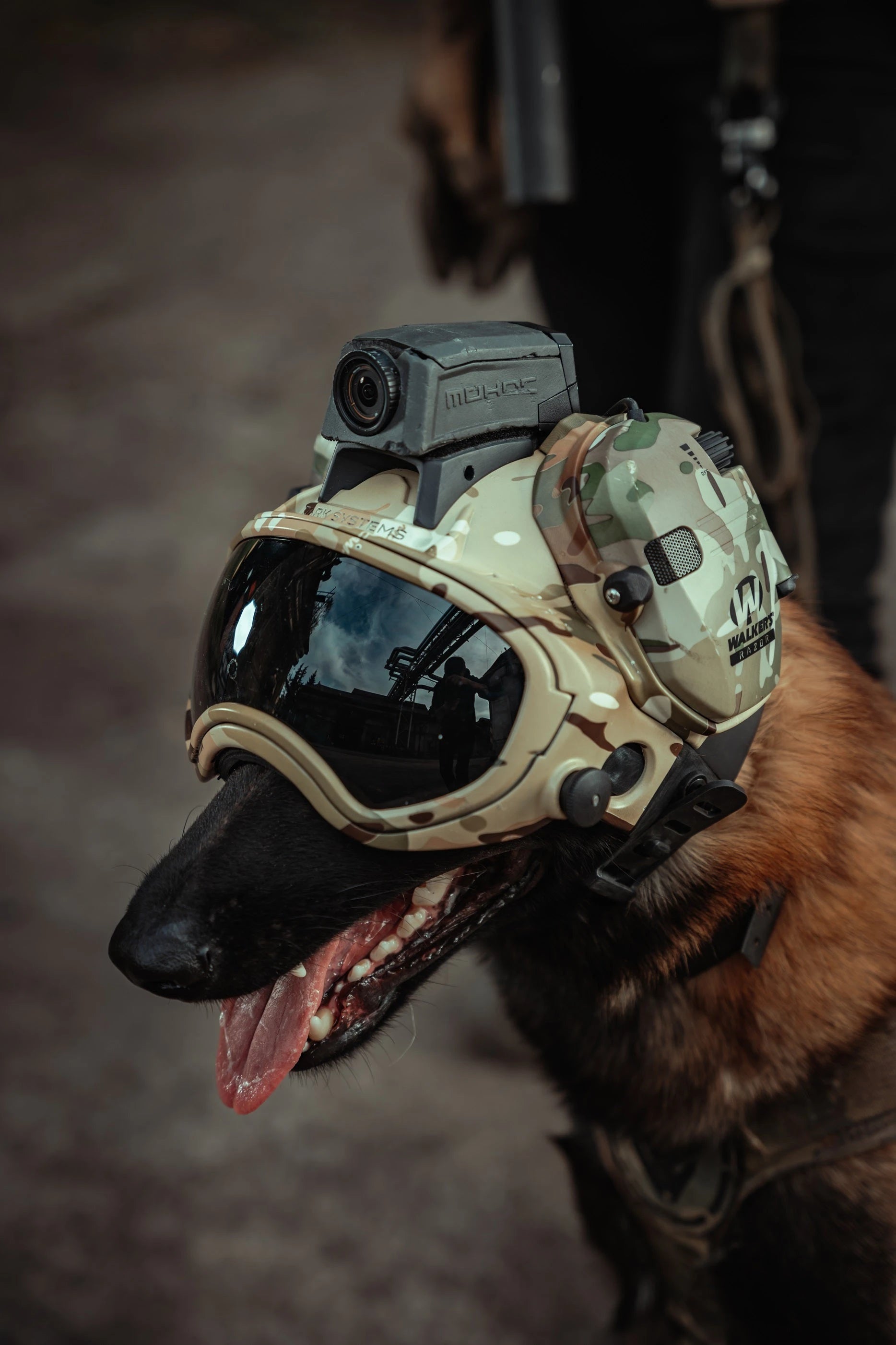 Dark Systems – Southern K9 Systems